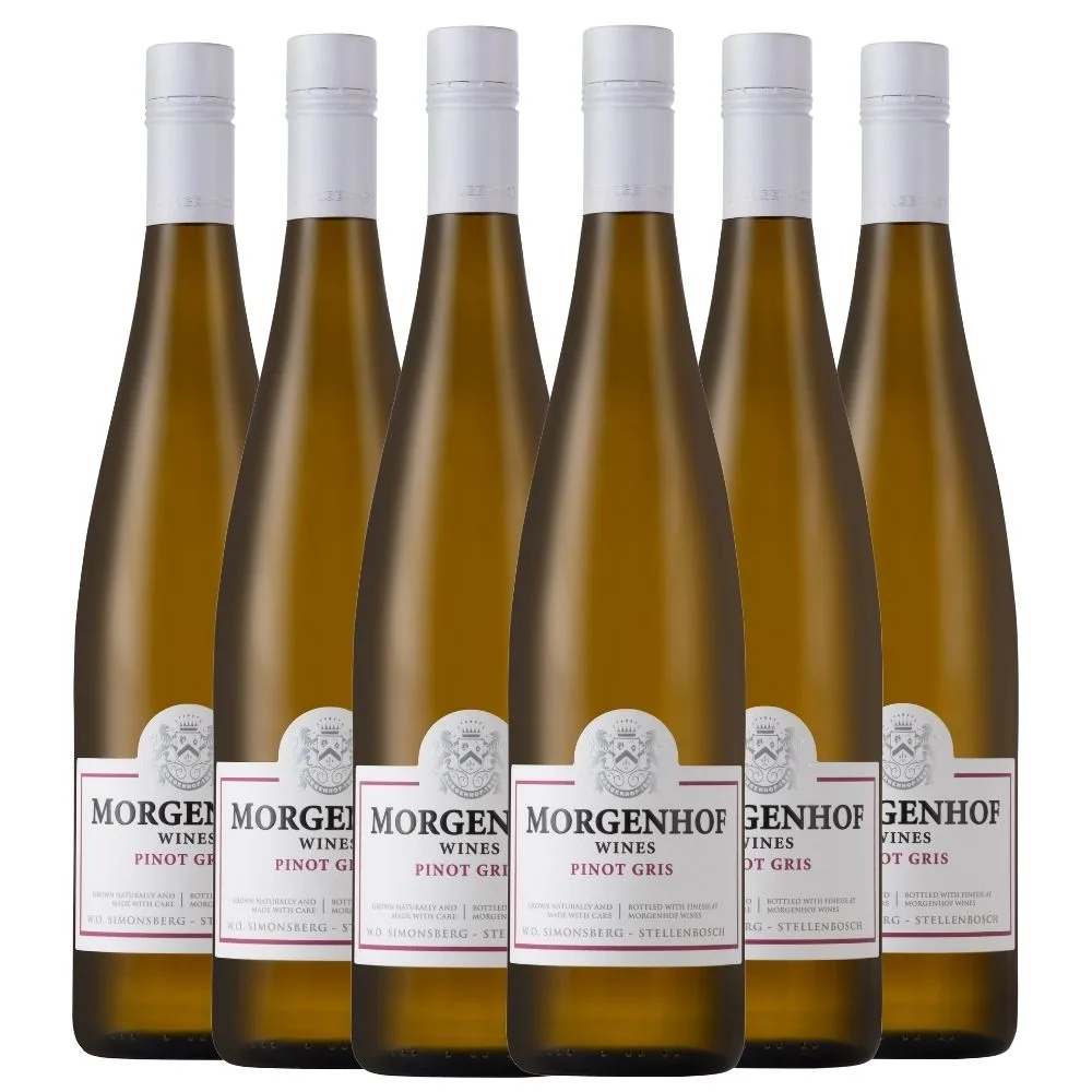 Morgenhof Pinot Gris 2023 | Buy Online | Vinty Wines