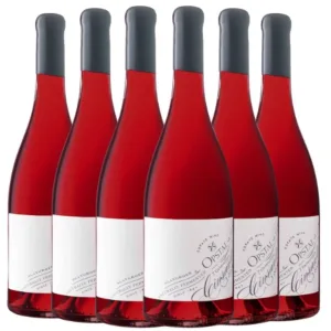 Opstal Cinsault 2024 | Whole-Bunch Slanghoek Light Red | Vinty